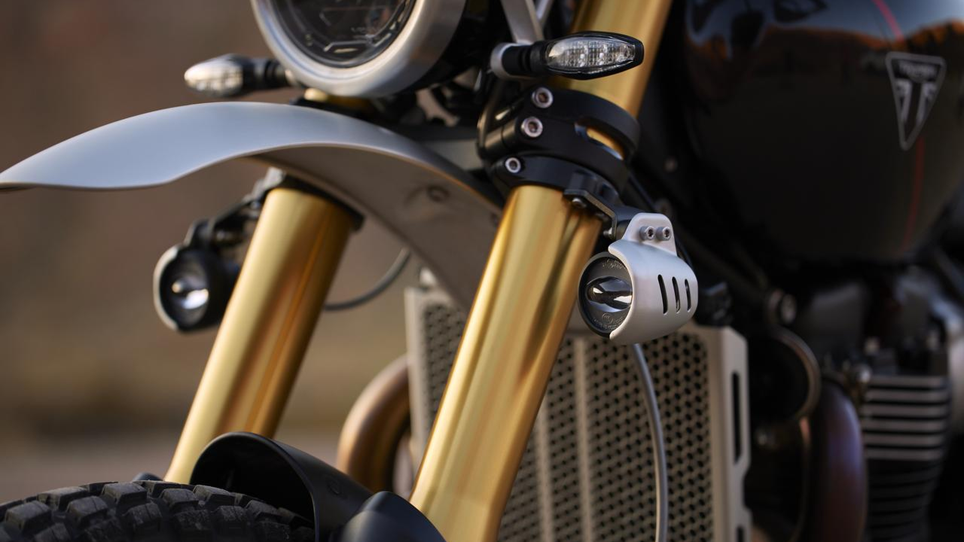 Triumph Scrambler 1200 2024: la gamma si rinnova con i modelli X ed XE ...